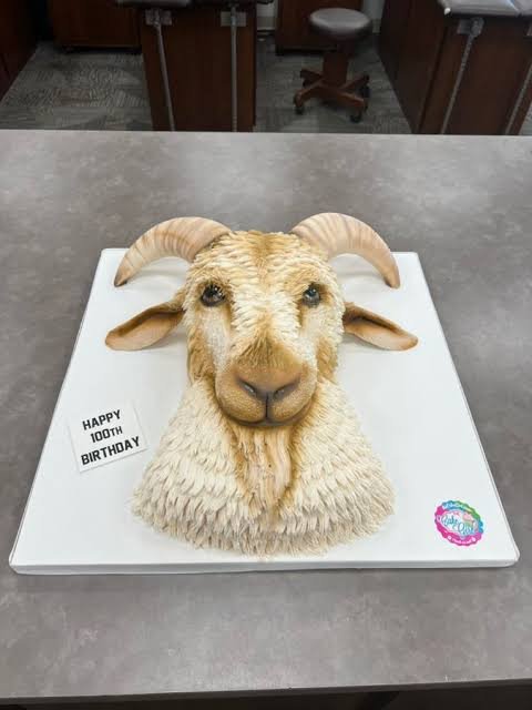 Tom Brady: Birthday cake| Birthday| Draft photo - sportsjone