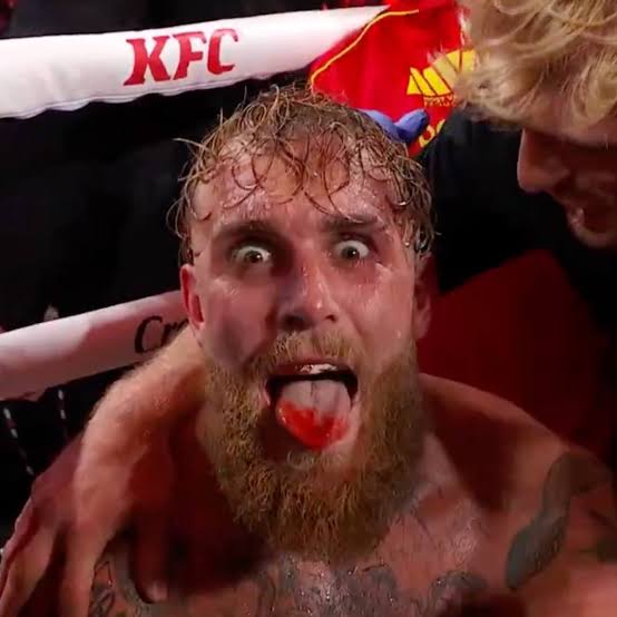 Jake Paul: Weight| Knocked out| Anthony joshua purse| Next fight ...