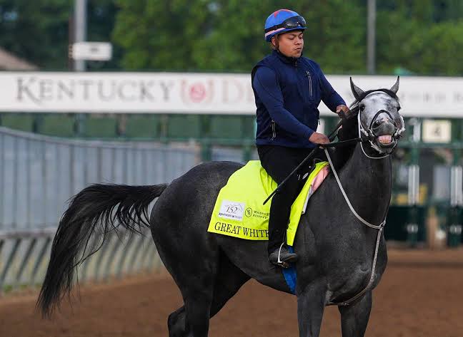 Great White Horse: Kentucky Derby 2026 Drama, Scratch Reason & Latest ...